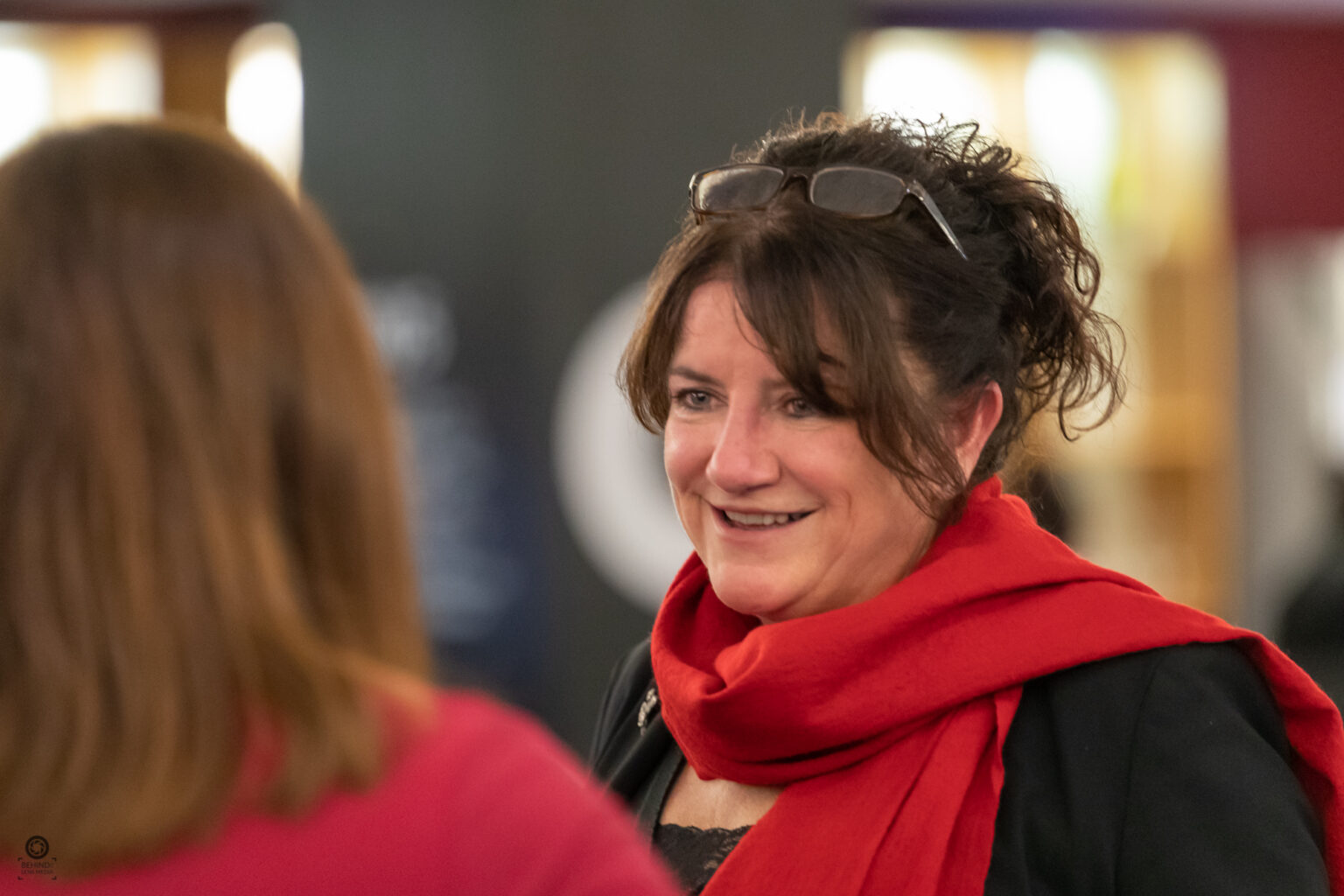 Celebration Event: Beaujolais Day lunch with comedian Mike Doyle ...